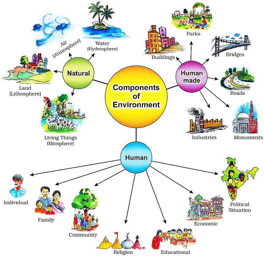 Class 7 Social Science Geography Chapter 1 Environment Notes Class 7 Social Science Geography Chapter 1 Environment Notes