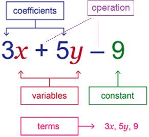 Class 8 Mathematics Chapter 9 Algebraic Expressions Notes