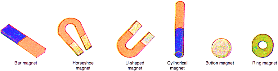 Class 6 Science Chapter 2 Components of Food Notes - EXAMIUM CLASSES