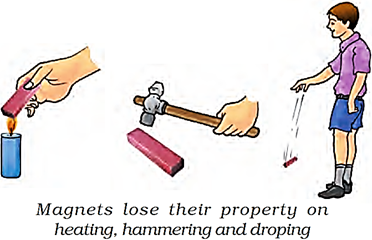 Class 6 Science Chapter 2 Components of Food Notes - EXAMIUM CLASSES