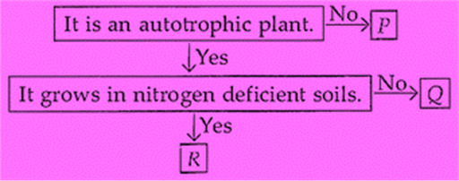 Class 7 Science Chapter 1 Nutrition in Plants High Level Questions ...