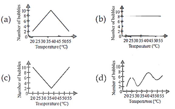 Class 7 Science Chapter 1 Nutrition in Plants High Level Questions