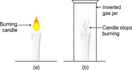 Class 8 Science Chapter 6 Combustion and Flame Notes