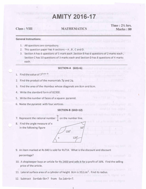 Class 8 Mathematics Amity Exam Paper 2016-17 - EXAMIUM CLASSES